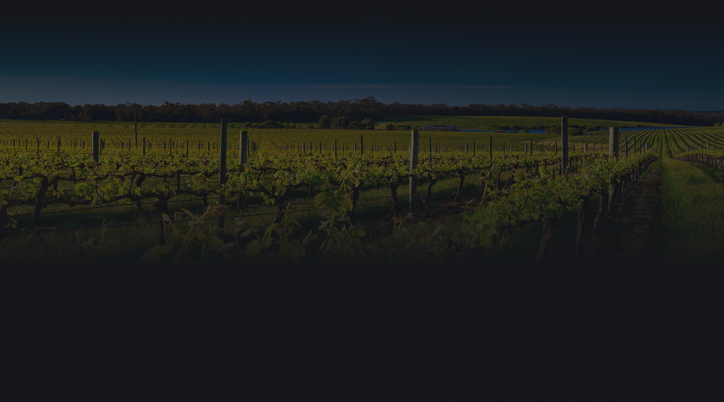 Car Rental Perth | Affordable Car Hire Perth | Perth City Car Rentals